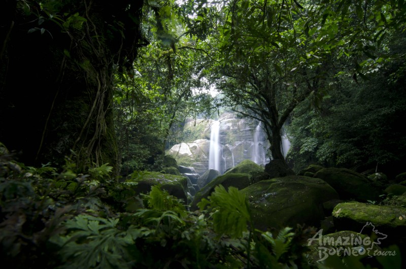 Top 10 Jungle Adventures in Borneo | Travelogue - Amazing Borneo Tours
